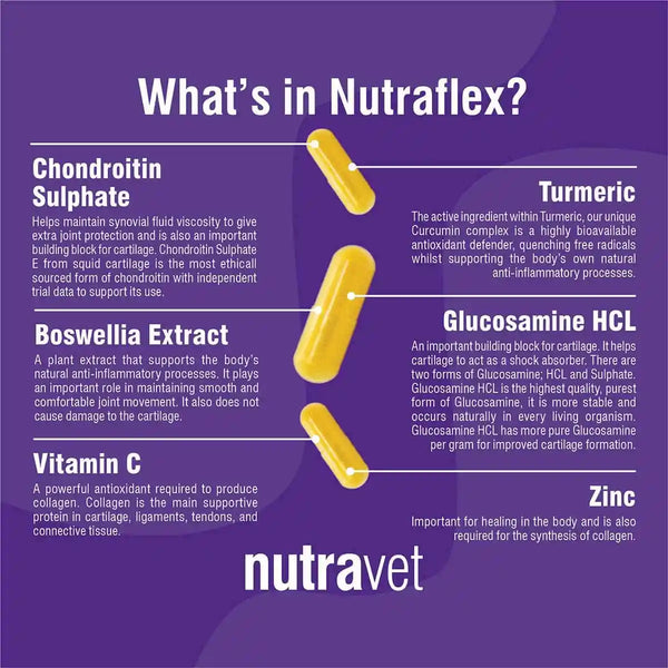 Nutraflex Joint Strength Support For Dogs and Cats (60 Capsules) – Gaia ...