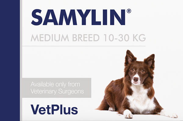 Samylin Liver Health Supplement for Medium Dogs (10-30kg) – Gaia Pets