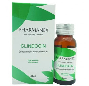 Clindamycin Oral Solution (25mg/ml) – Gaia Pets